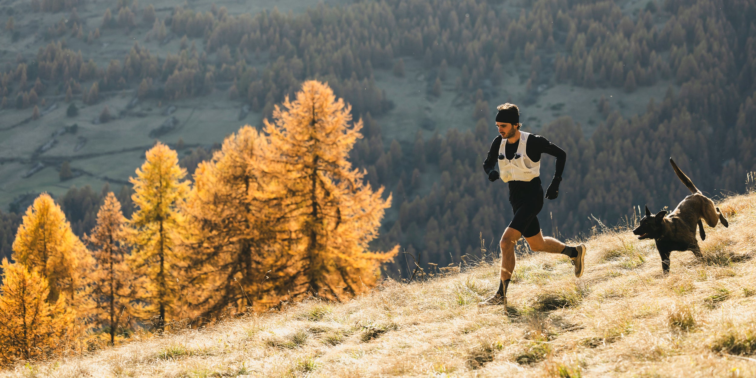 Wise Trail Running